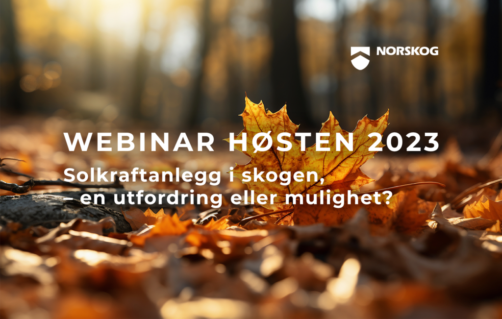 Påmelding: Solkraftanlegg i skogen - utfordring eller mulighet? - Norskog