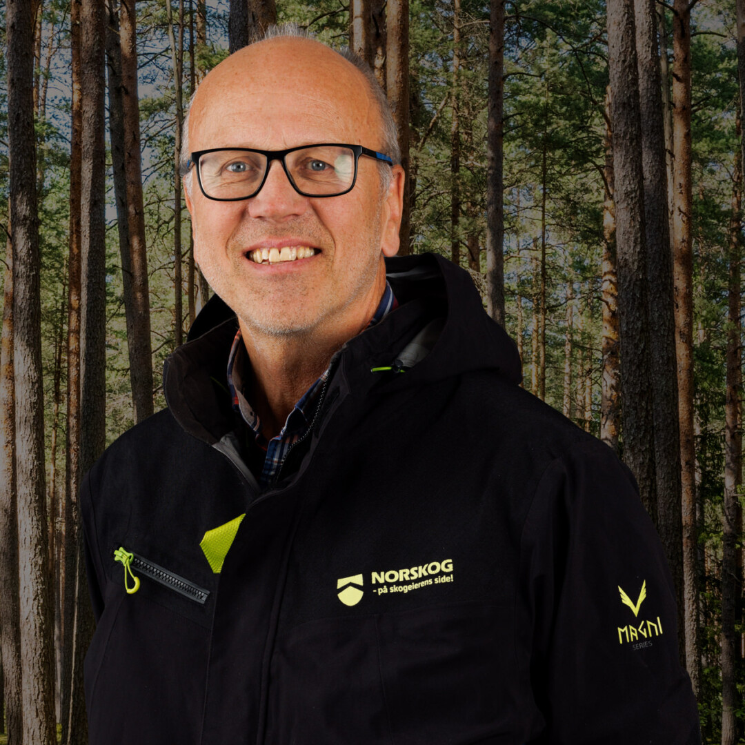 Vern av skog - Norskog